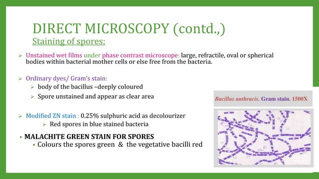 PHENOTYPIC METHODS OF Bacterial identification- conventional ...