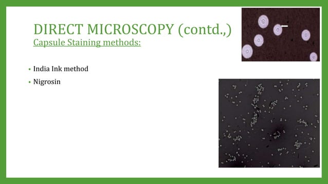 PHENOTYPIC METHODS OF Bacterial identification- conventional ...