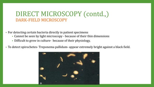 Phenotypic Methods Of Bacterial Identification Conventional And Automatedpptx Infectious