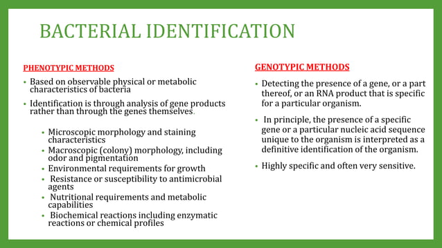 PHENOTYPIC METHODS OF Bacterial identification- conventional ...