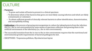 PHENOTYPIC METHODS OF Bacterial identification- conventional ...