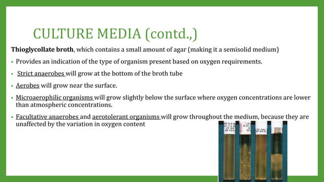 PHENOTYPIC METHODS OF Bacterial identification- conventional ...