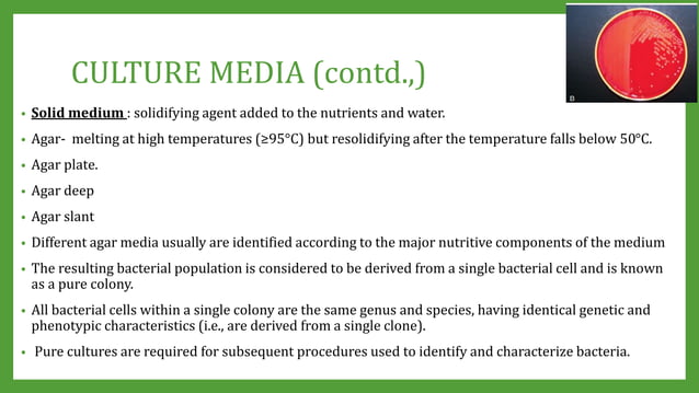 PHENOTYPIC METHODS OF Bacterial identification- conventional ...