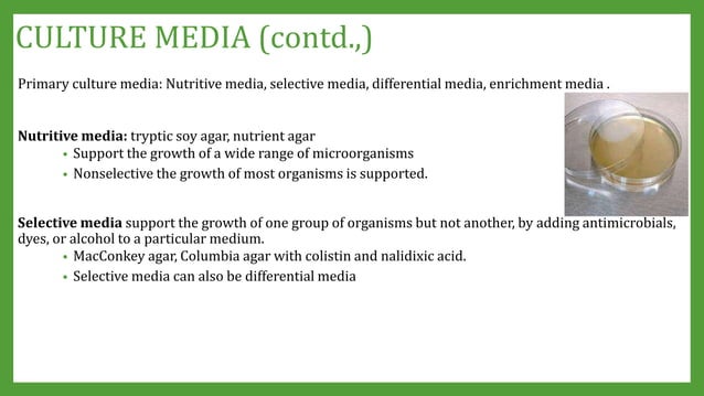 PHENOTYPIC METHODS OF Bacterial identification- conventional ...