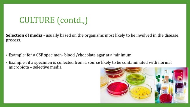 PHENOTYPIC METHODS OF Bacterial identification- conventional ...