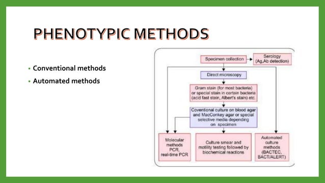 PHENOTYPIC METHODS OF Bacterial identification- conventional & automated.pptx | Infectious ...