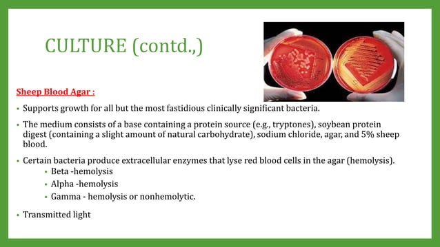 PHENOTYPIC METHODS OF Bacterial identification- conventional ...