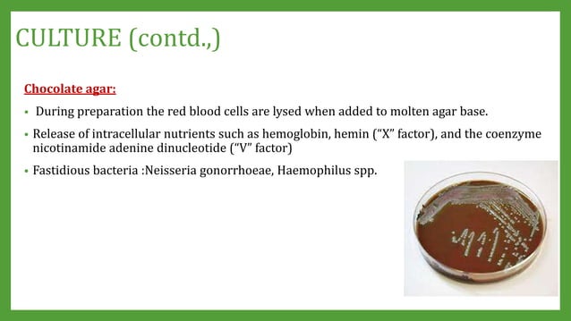 PHENOTYPIC METHODS OF Bacterial identification- conventional ...