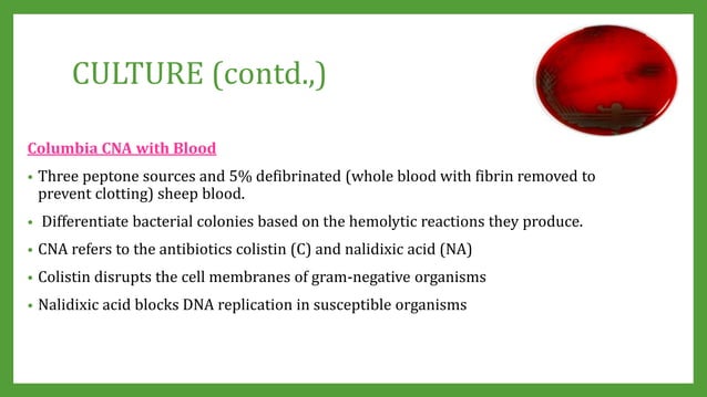 PHENOTYPIC METHODS OF Bacterial identification- conventional ...