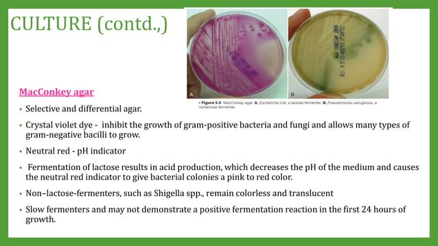 PHENOTYPIC METHODS OF Bacterial identification- conventional ...