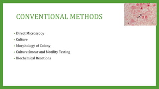 PHENOTYPIC METHODS OF Bacterial identification- conventional ...
