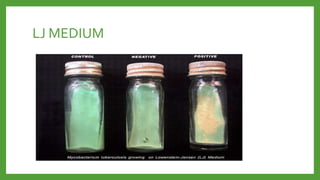 PHENOTYPIC METHODS OF Bacterial identification- conventional ...