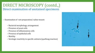 PHENOTYPIC METHODS OF Bacterial identification- conventional ...