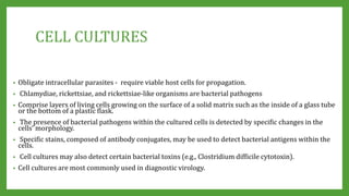 PHENOTYPIC METHODS OF Bacterial identification- conventional ...