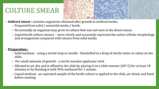 PHENOTYPIC METHODS OF Bacterial identification- conventional ...