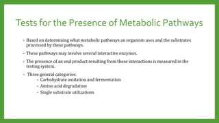 PHENOTYPIC METHODS OF Bacterial identification- conventional ...