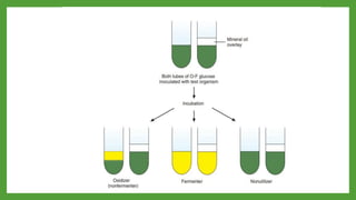 PHENOTYPIC METHODS OF Bacterial identification- conventional ...