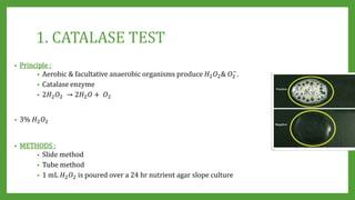 PHENOTYPIC METHODS OF Bacterial identification- conventional ...