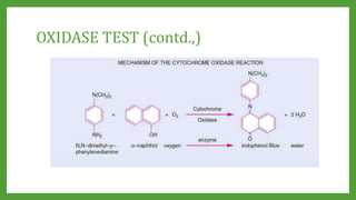PHENOTYPIC METHODS OF Bacterial identification- conventional ...