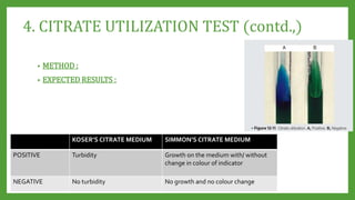 PHENOTYPIC METHODS OF Bacterial identification- conventional ...