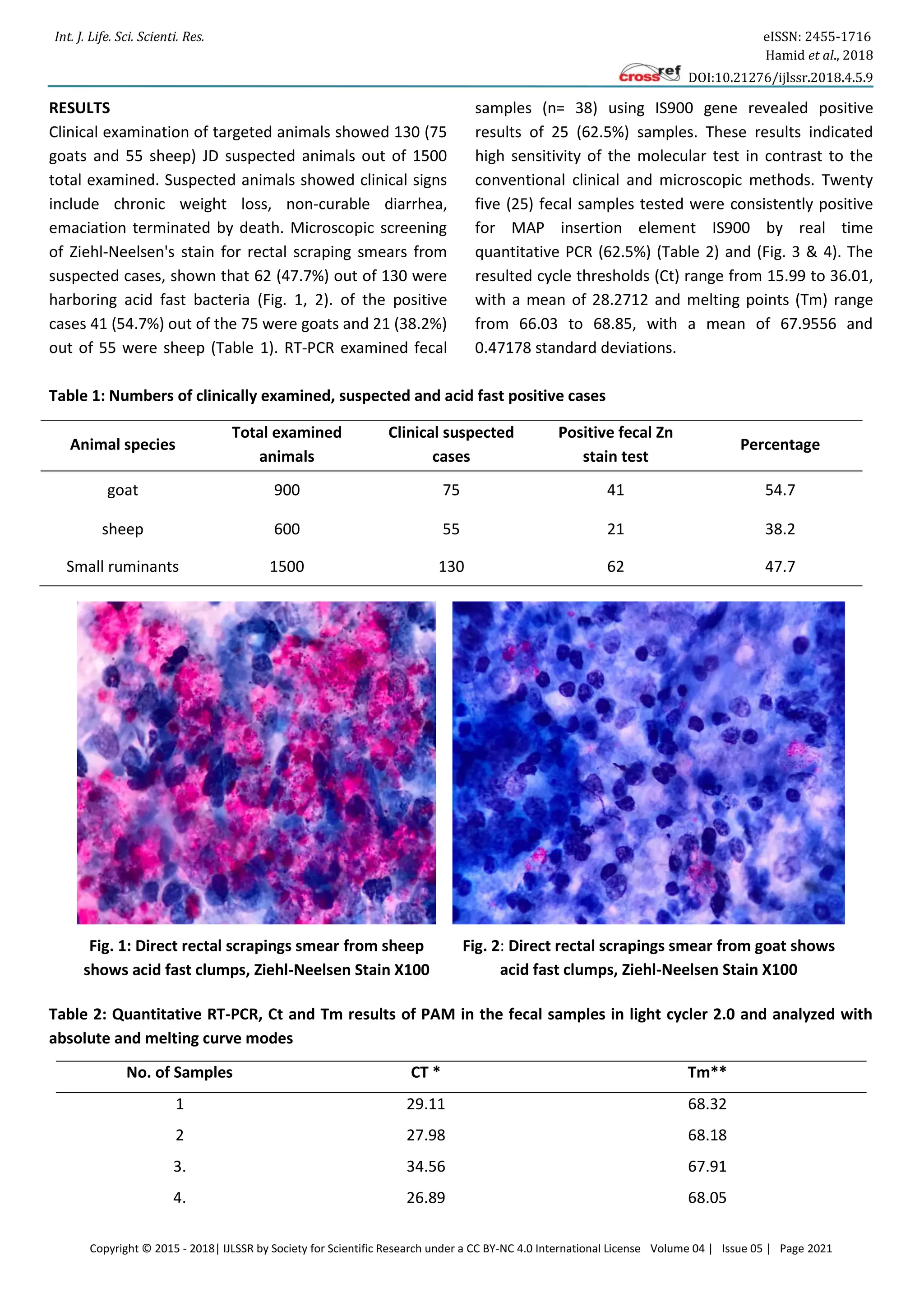 Phenotypic and Molecular Detection of Mycobacterium avium subsp ...
