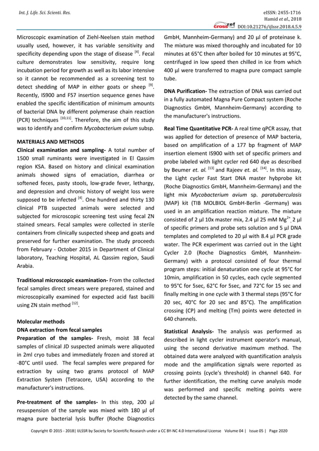 Phenotypic and Molecular Detection of Mycobacterium avium subsp ...