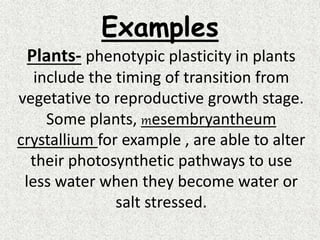 Phenotypic plasticity | PPTX