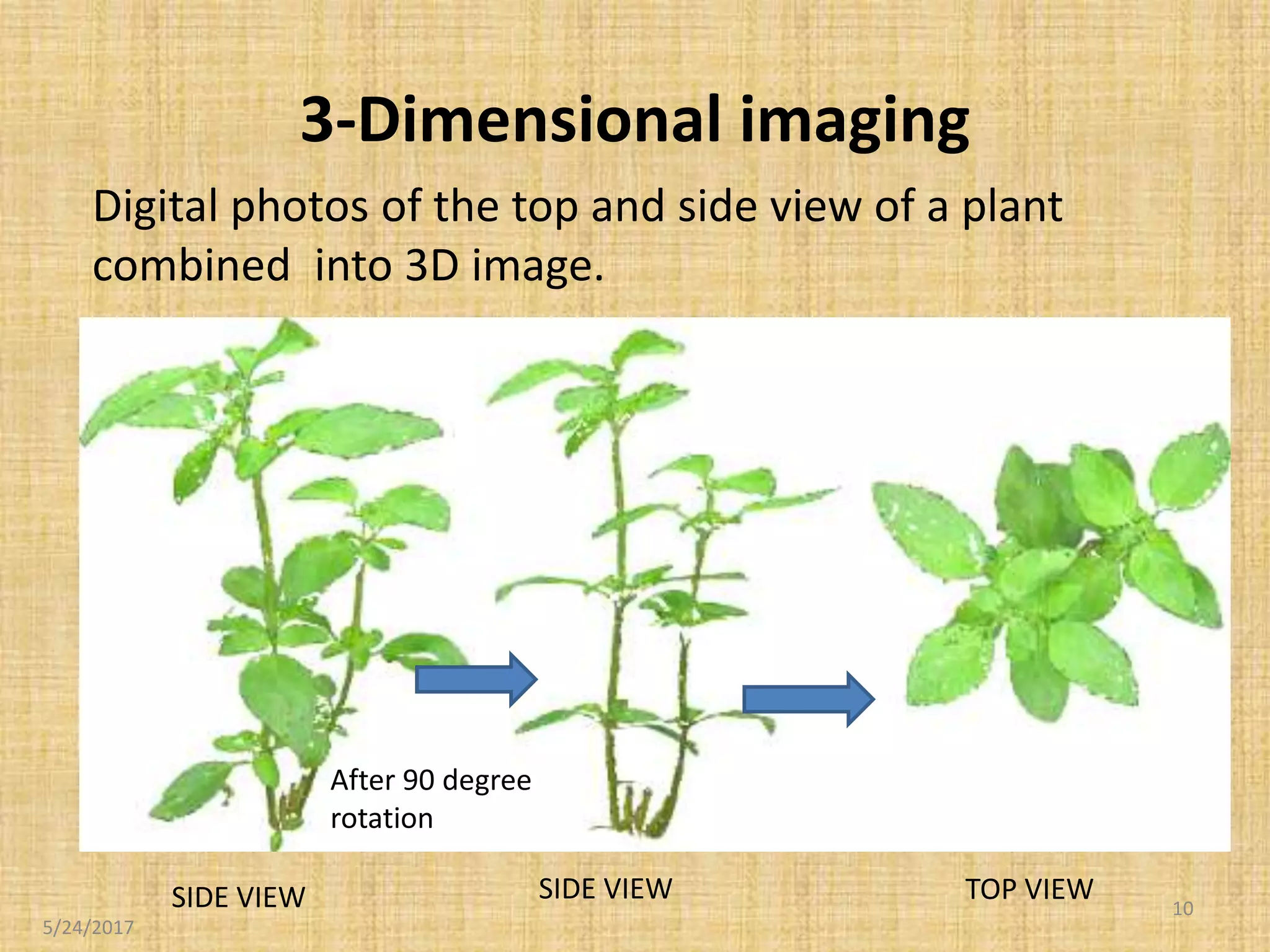 HIGH-THROUGHPUT PHENOTYPING | PPTX