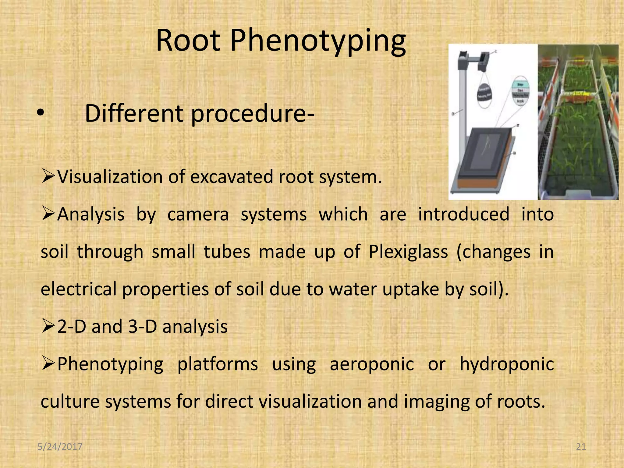 HIGH-THROUGHPUT PHENOTYPING | PPTX