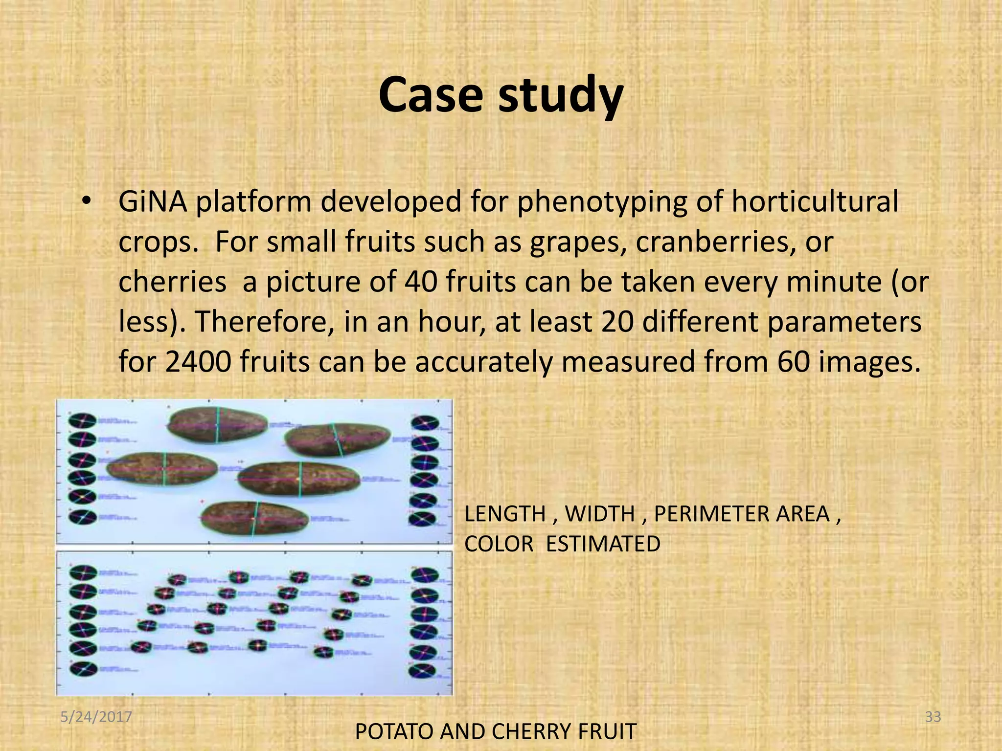 HIGH-THROUGHPUT PHENOTYPING | PPTX