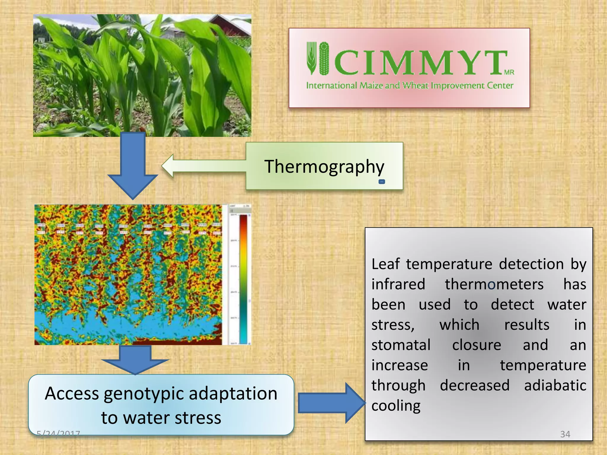 HIGH-THROUGHPUT PHENOTYPING | PPTX