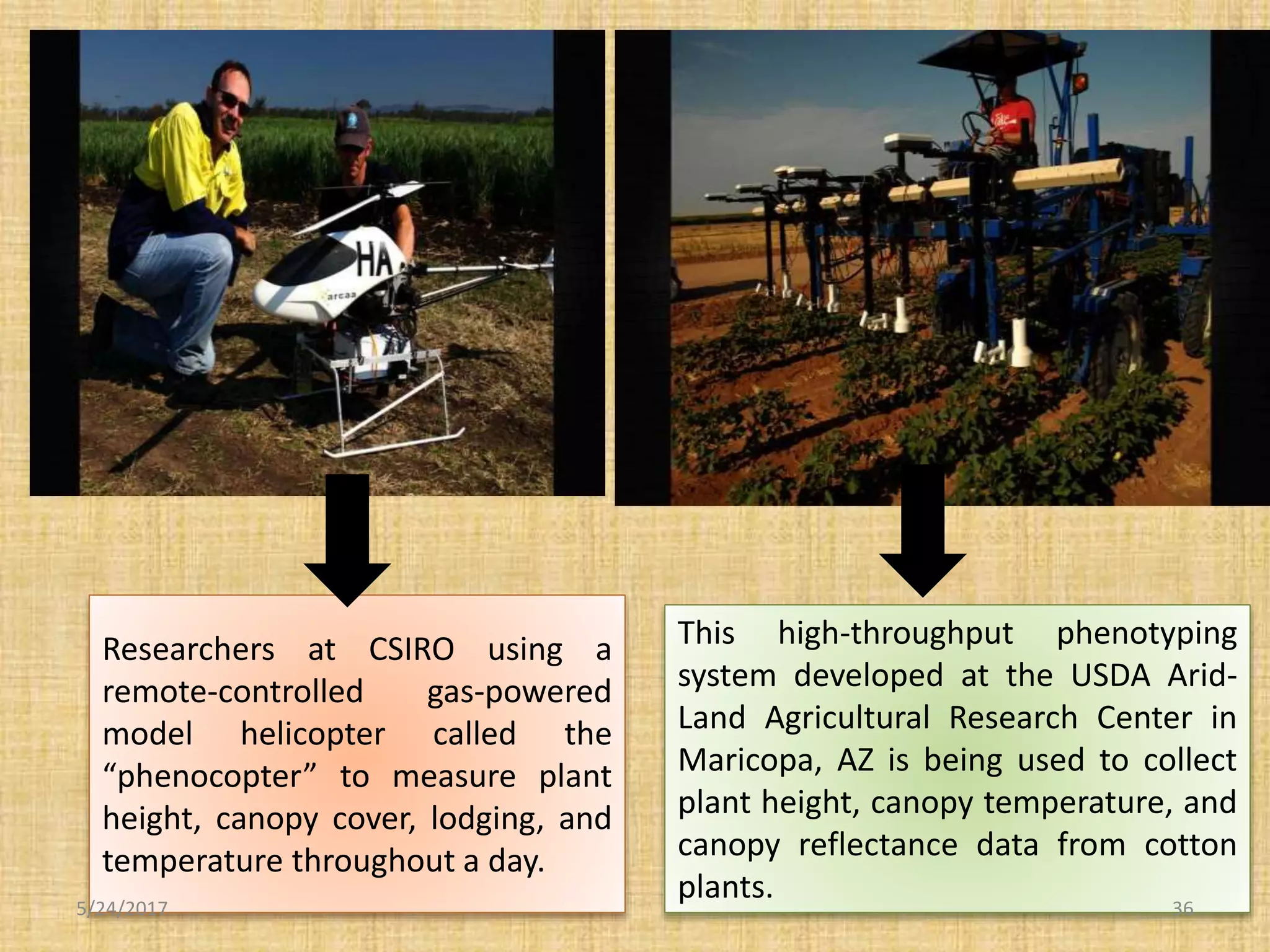 HIGH-THROUGHPUT PHENOTYPING | PPTX