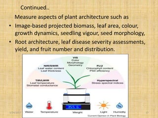 HIGH-THROUGHPUT PHENOTYPING | PPTX