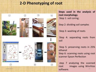 HIGH-THROUGHPUT PHENOTYPING | PPTX