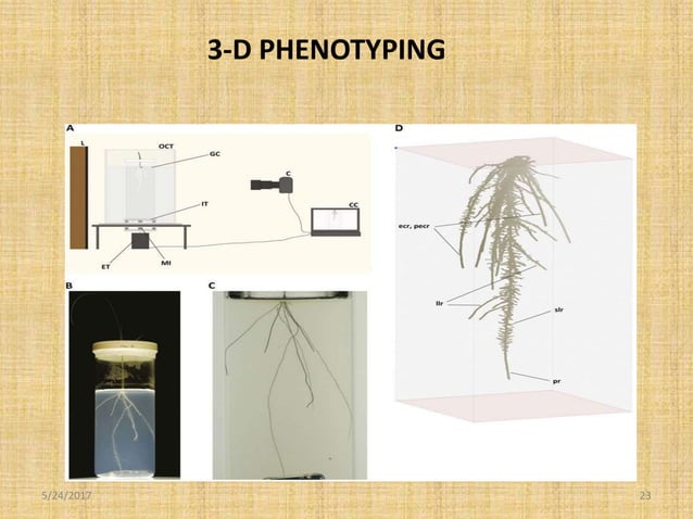 HIGH-THROUGHPUT PHENOTYPING | PPTX