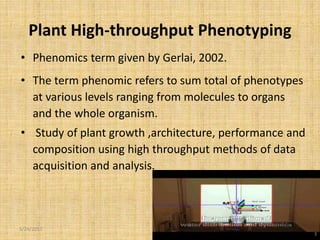 HIGH-THROUGHPUT PHENOTYPING | PPTX