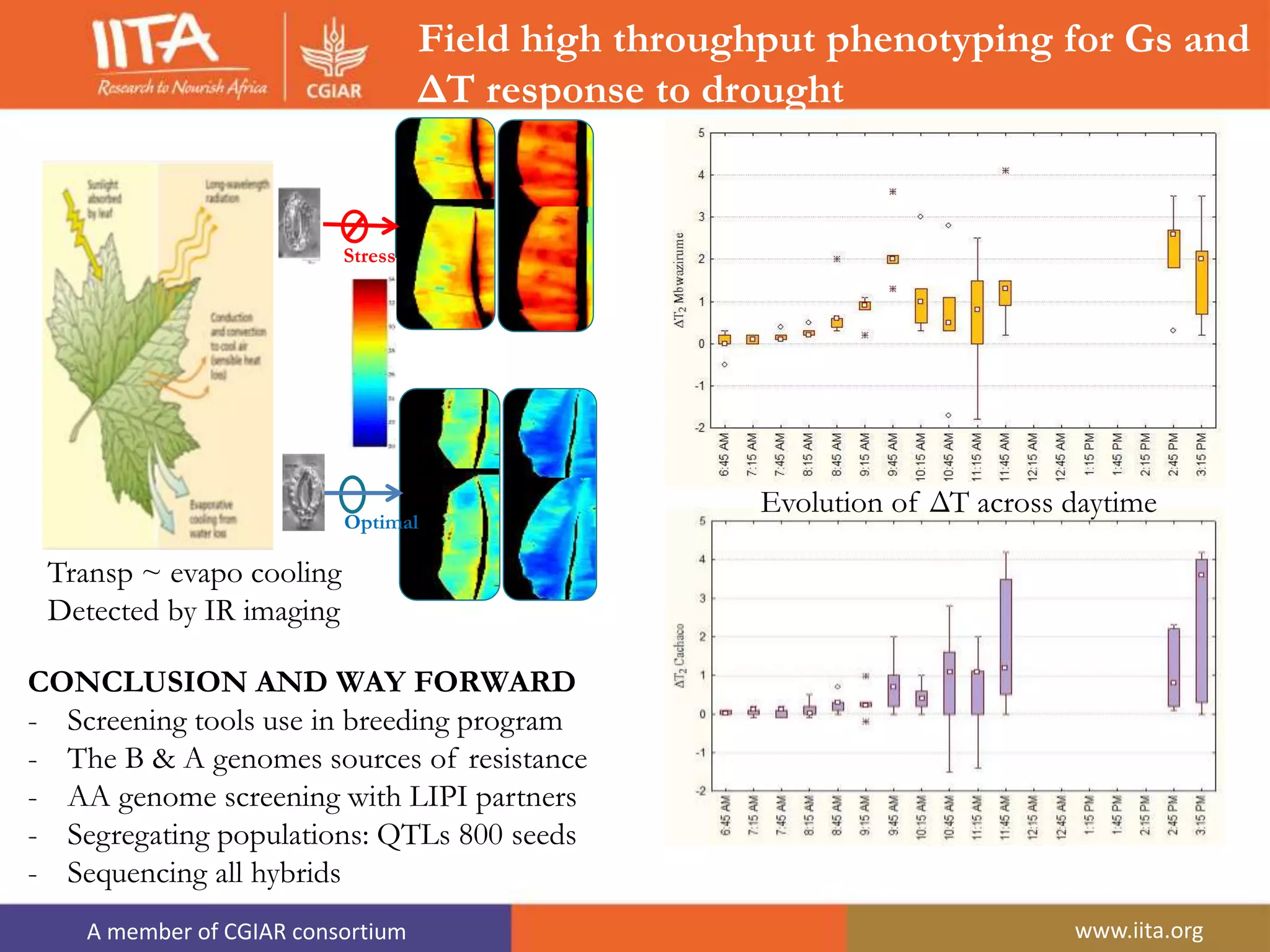 Phenotyping for tolerance to abiotic stresses | PPTX