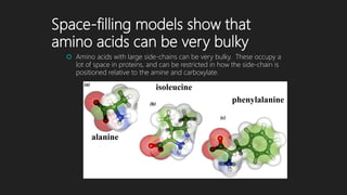 Dezwitterionization of Phenylalanine | PPT