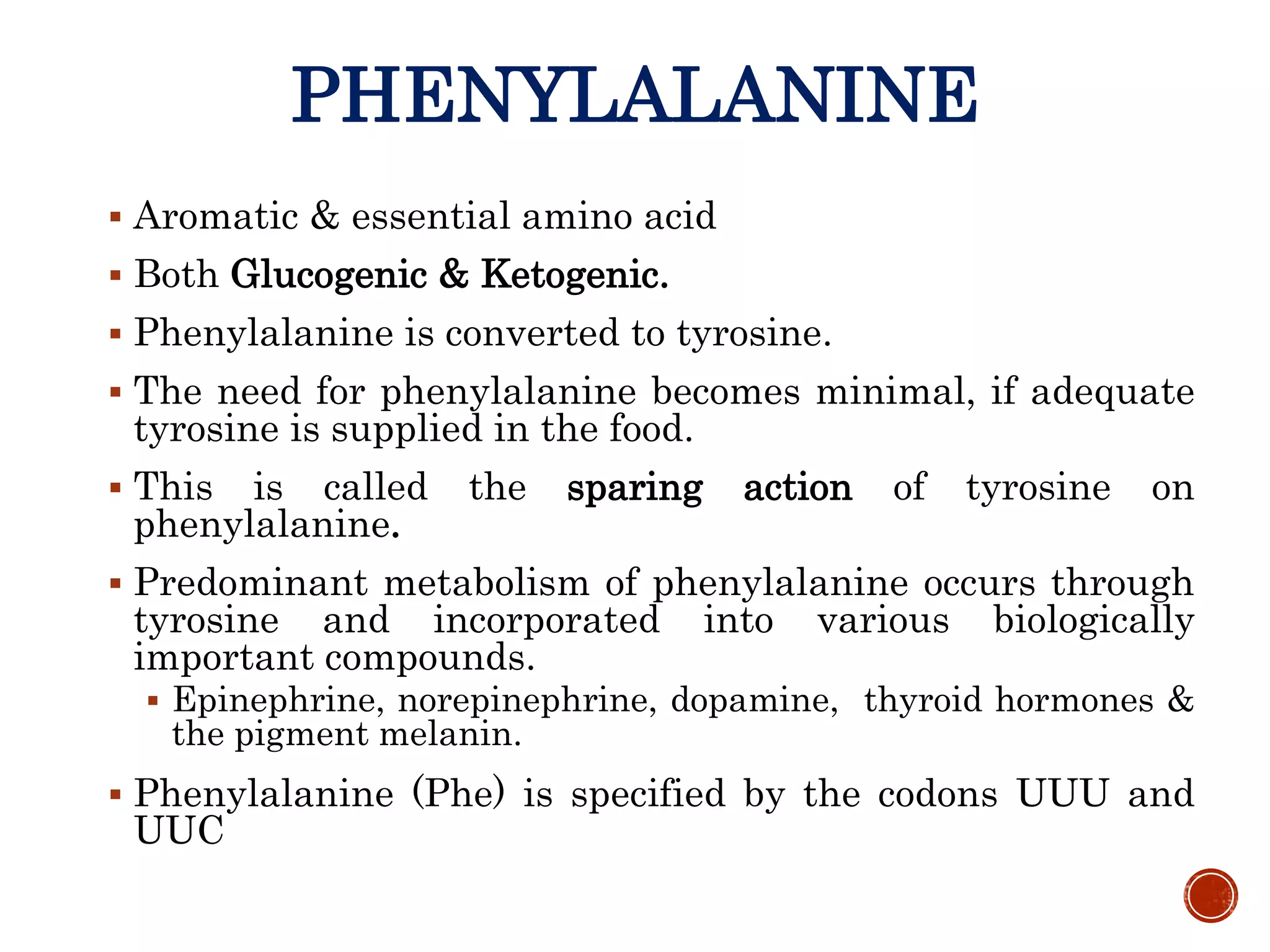 Phenylalanine and tyrosine for class | PPTX