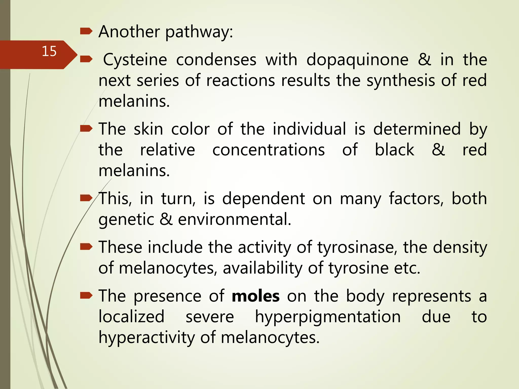 Phenylalanine & tyrosine amino acid metabolism | PPTX