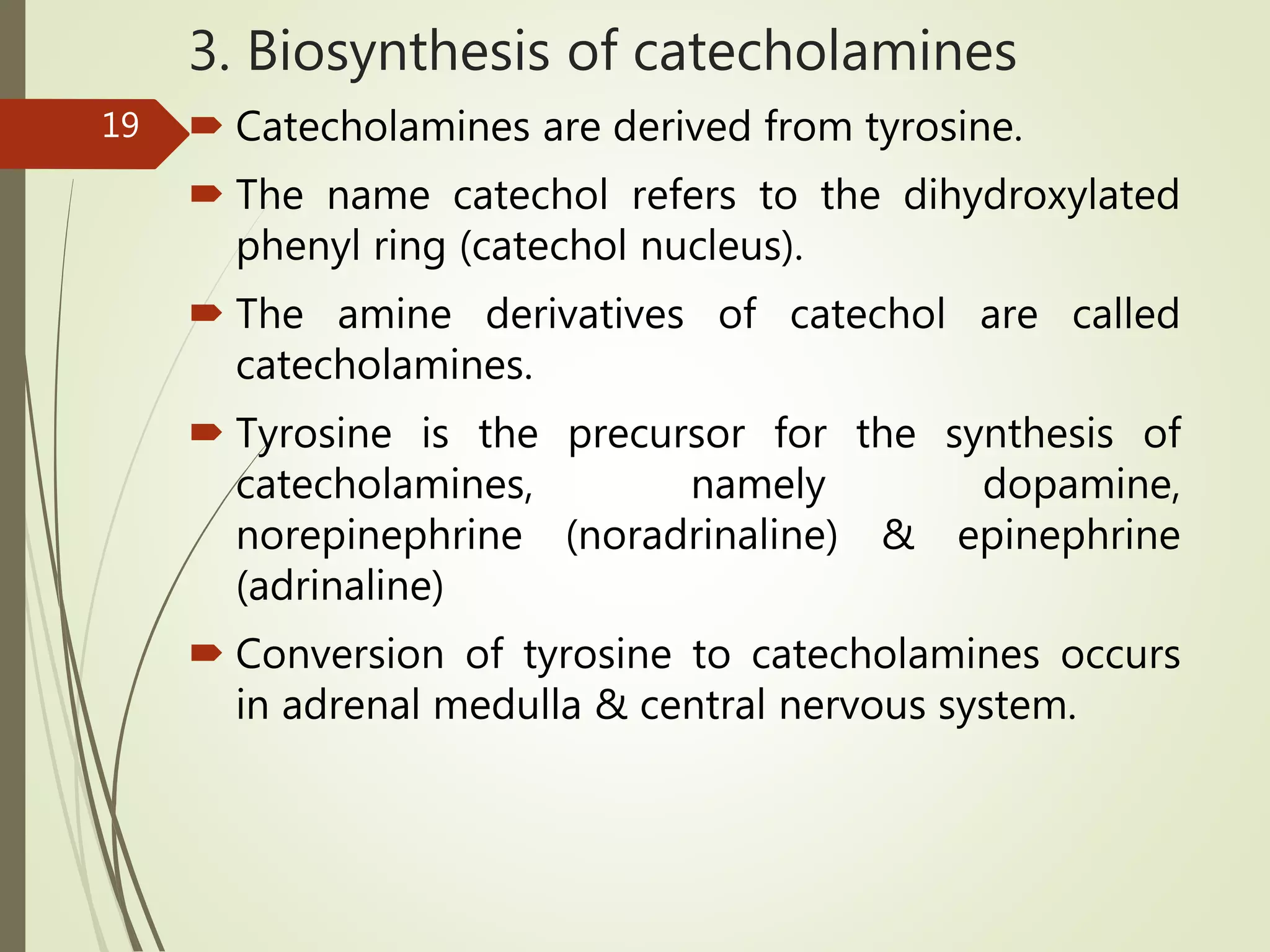Phenylalanine & tyrosine amino acid metabolism | PPTX