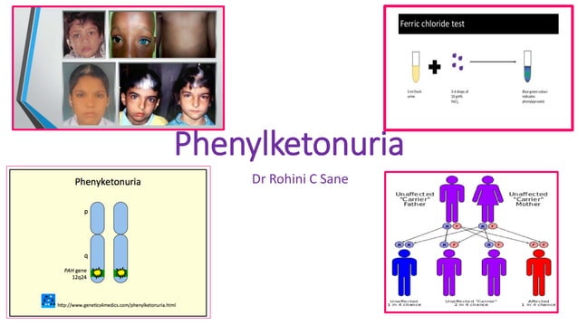 PKU Guide: Causes, Symptoms, Diagnosis and Treatment of Phenylketonuria ...