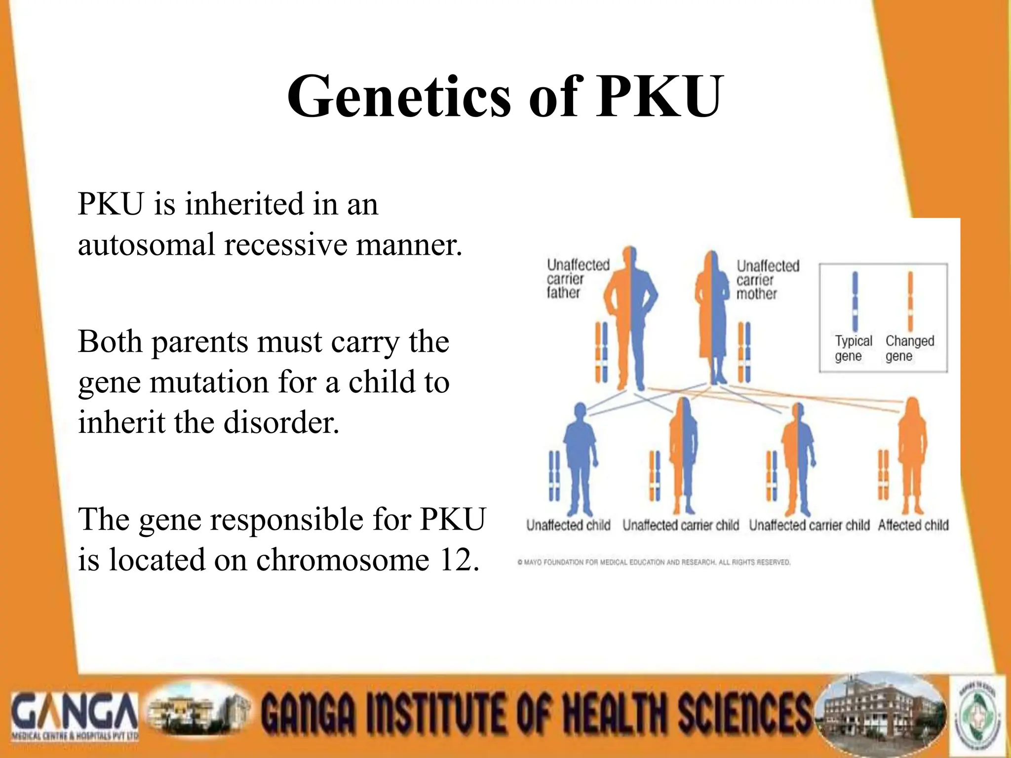 phenylketonuria the metabolic disorder.pptx