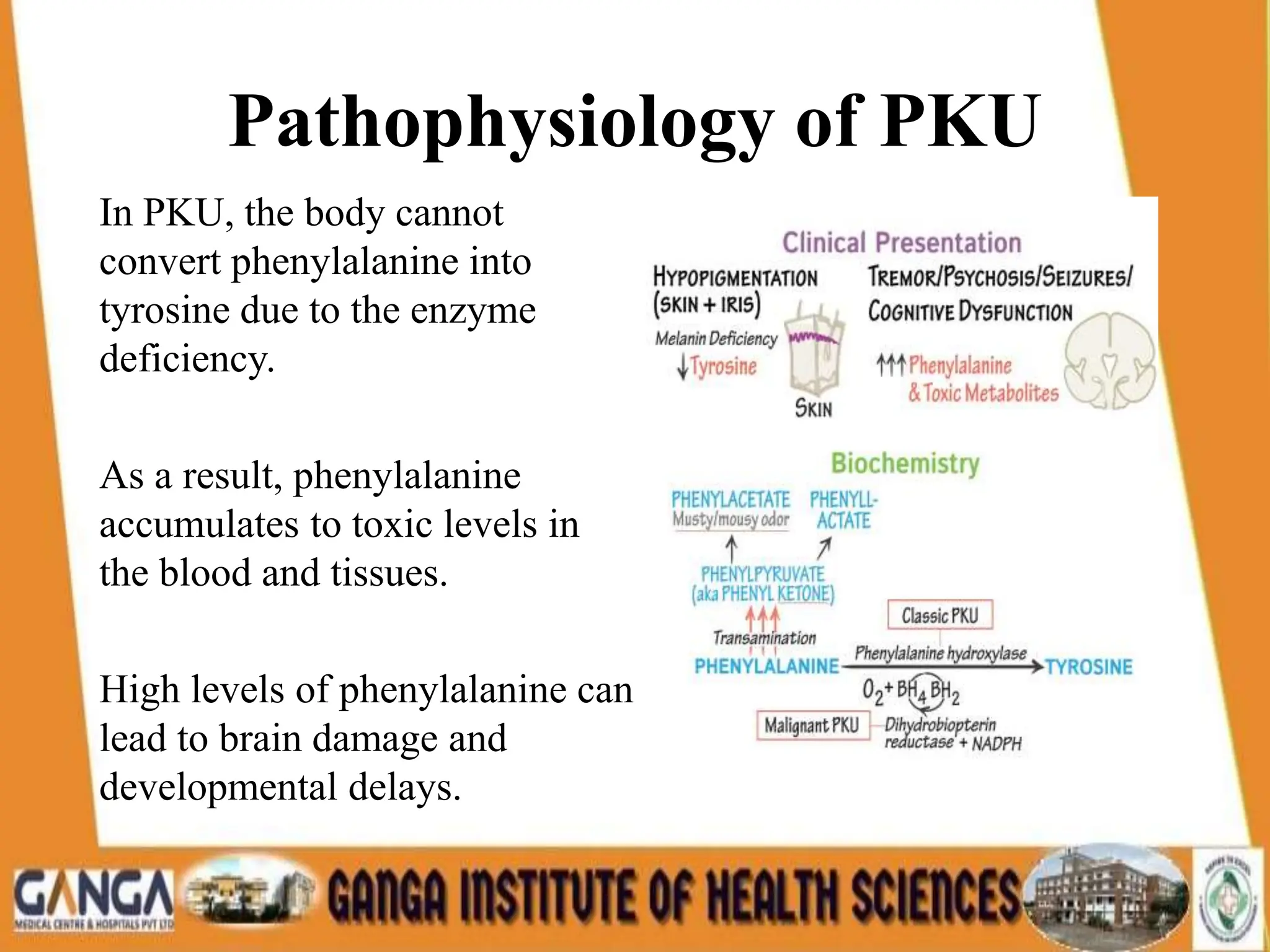 phenylketonuria the metabolic disorder.pptx