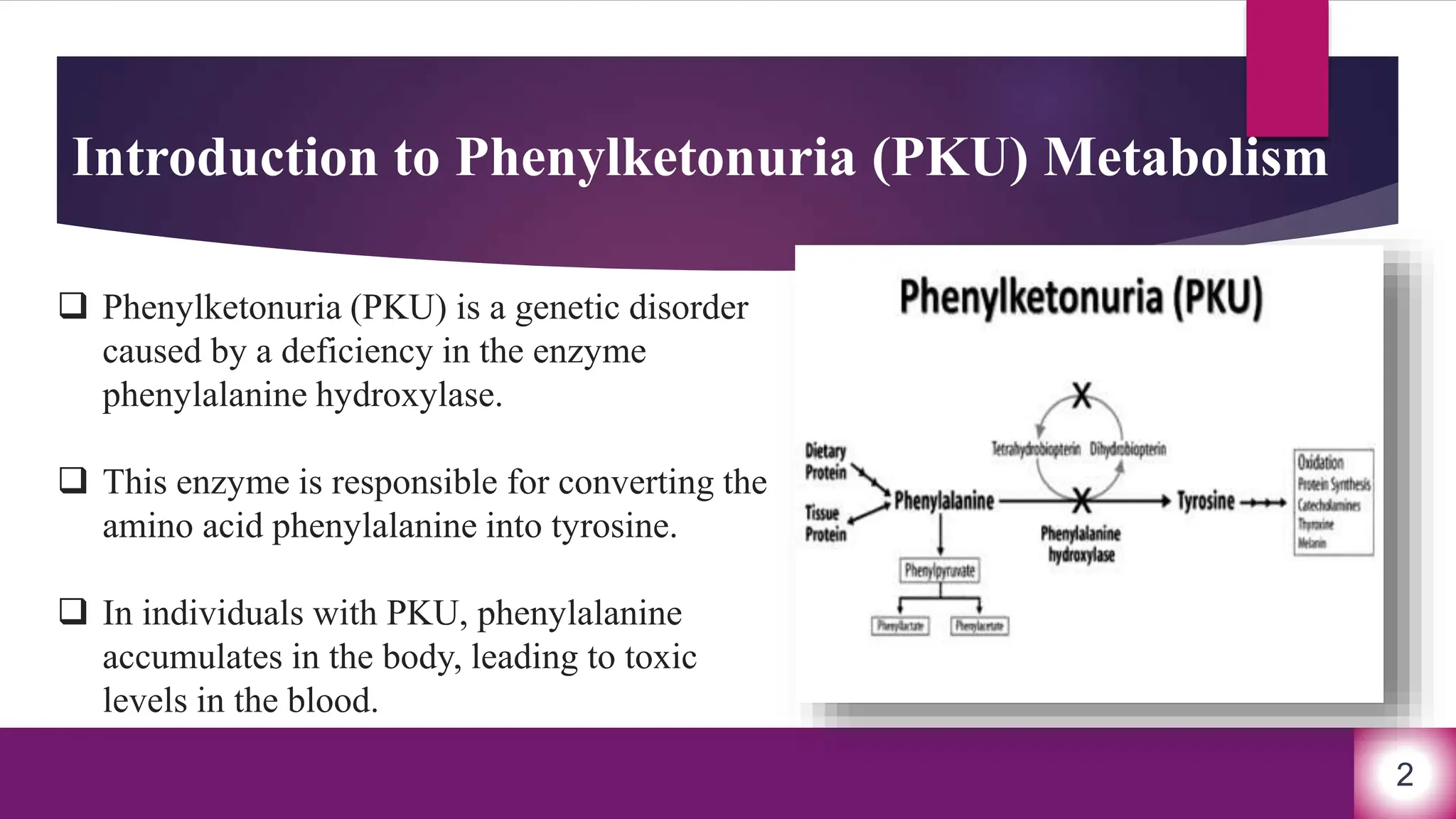 correlations of blood and brain in Phenylketonuria Metabolism.pptx