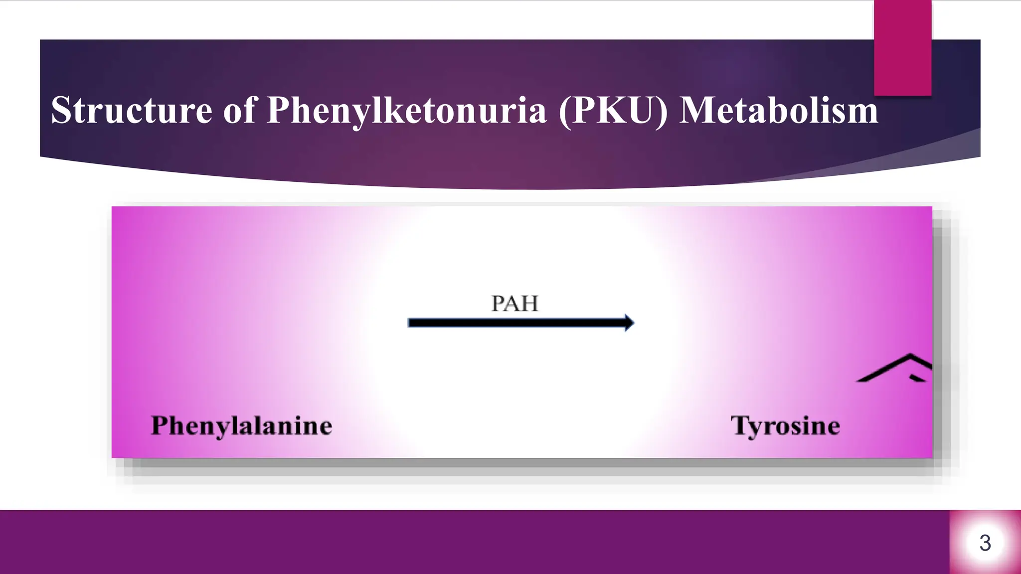 correlations of blood and brain in Phenylketonuria Metabolism.pptx