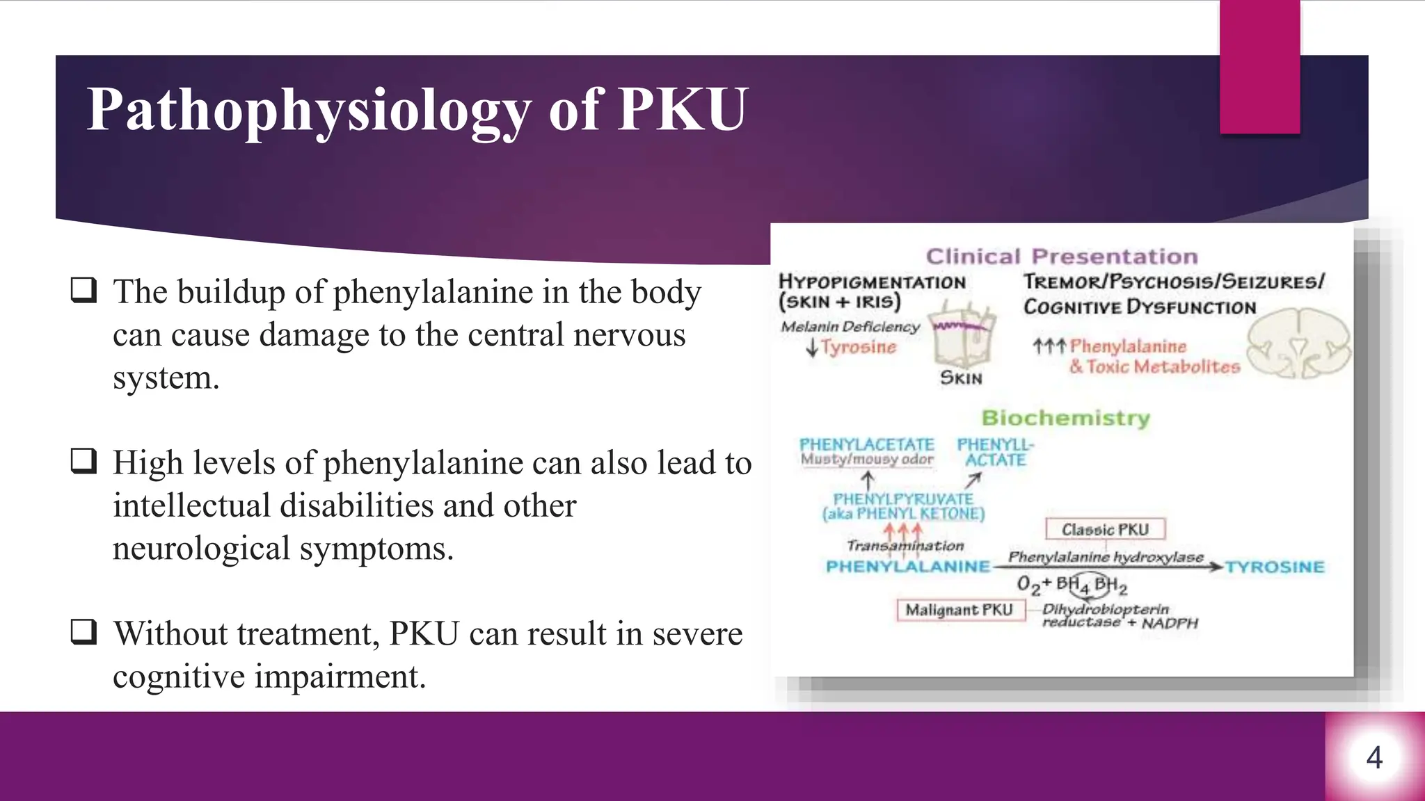 correlations of blood and brain in Phenylketonuria Metabolism.pptx