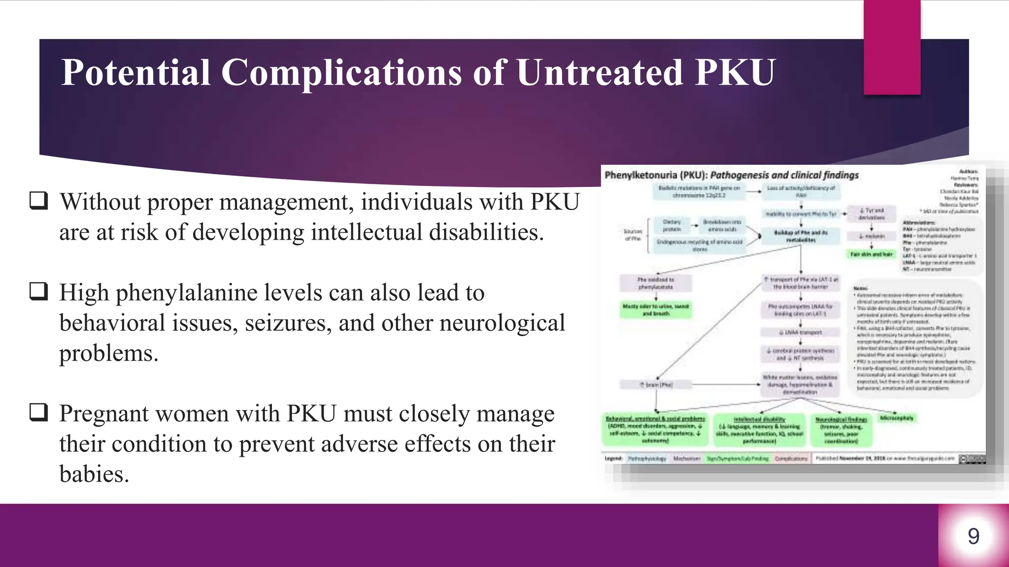 correlations of blood and brain in Phenylketonuria Metabolism.pptx
