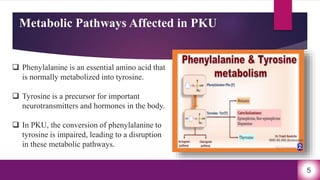 correlations of blood and brain in Phenylketonuria Metabolism.pptx