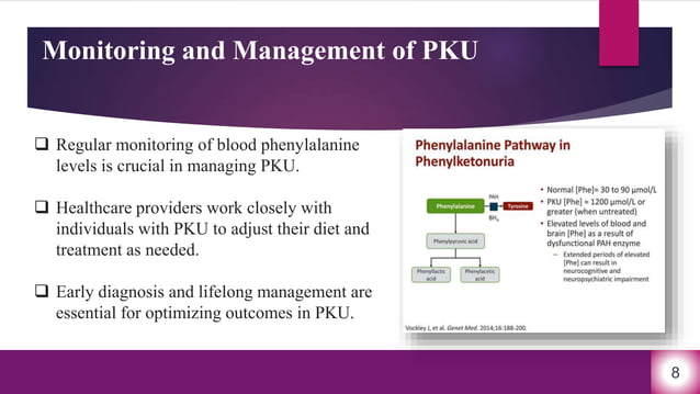 correlations of blood and brain in Phenylketonuria Metabolism.pptx